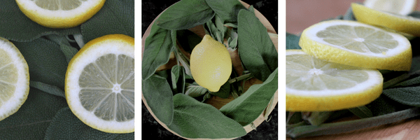 Sage and Lemon Tea Recipe - Immunity Boosting and Refreshing ...